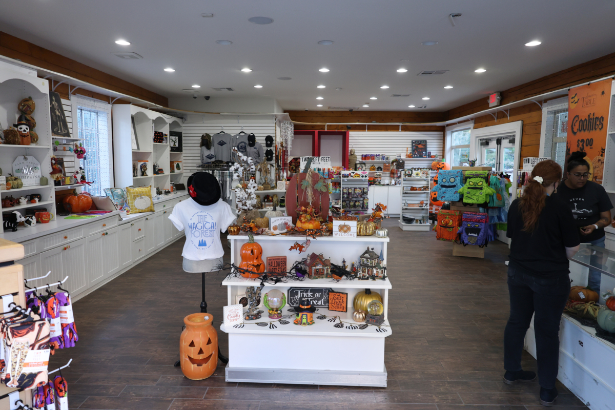 Join Us For Endless Holiday Cheer At The Magical Forest